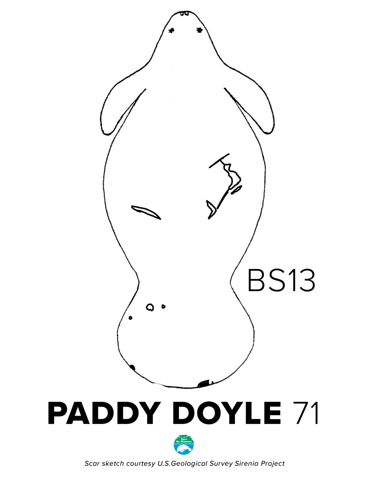 Paddy Doyle | Save the Manatee Club