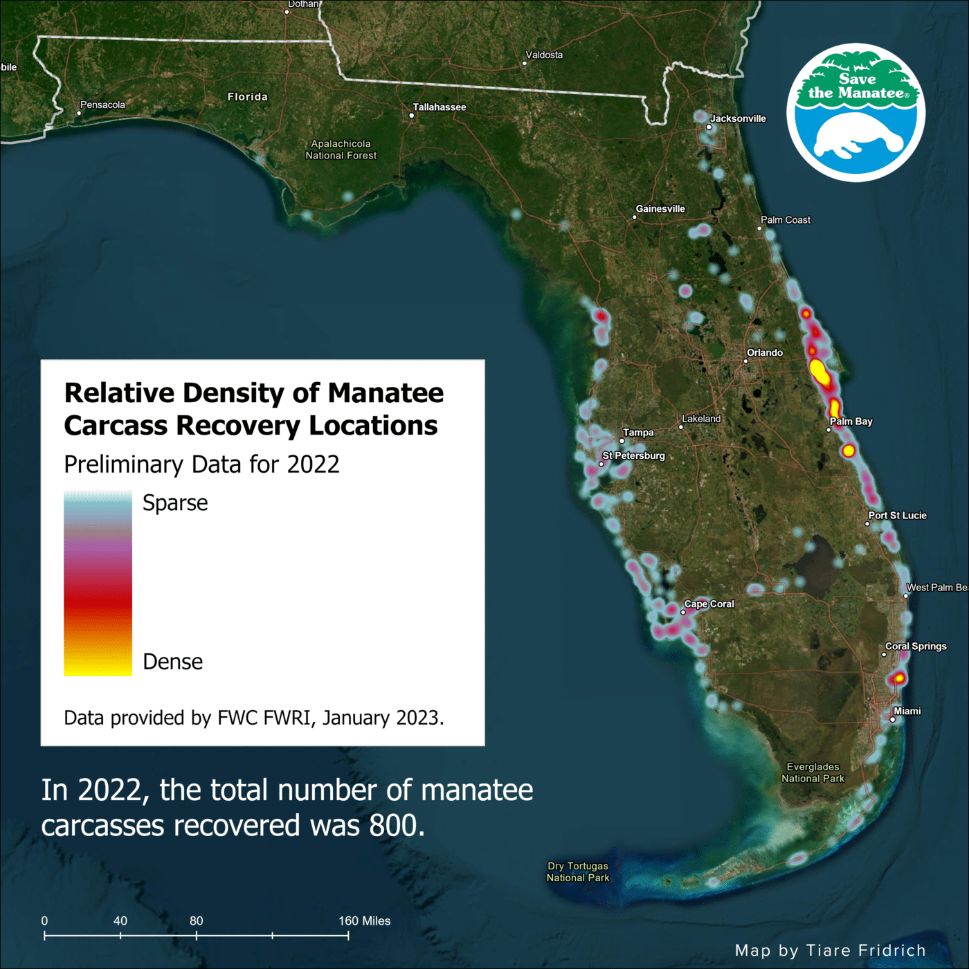 Algae Blooms and Seagrass Loss | Save the Manatee Club