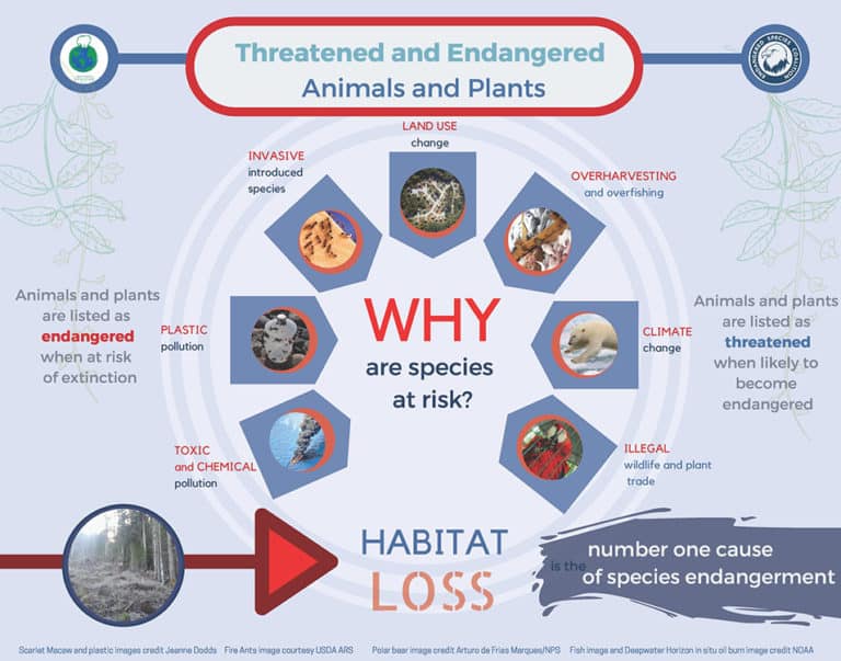 The Endangered Species Act Turns 50! | Save the Manatee Club The Endangered Species Act Turns 50! | Save the Manatee Club
