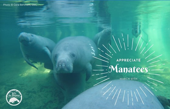 Manatee Awareness Occasions | Save the Manatee Club