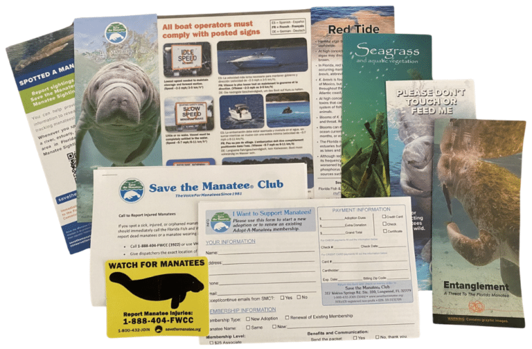 Celebrate Safely: Protect Manatees This July 4th | Save the Manatee Club