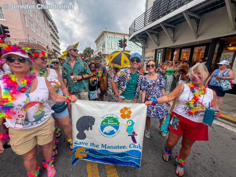 Jimmy Buffett Day: A Celebration of Music and Manatees | Save the Manatee Club