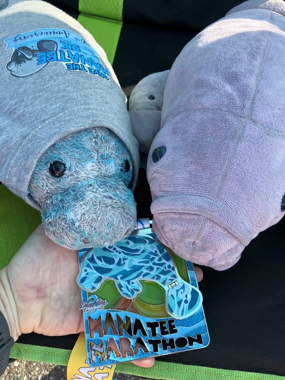 Appreciating Manatees and Our Amazing Volunteers | Save the Manatee Club