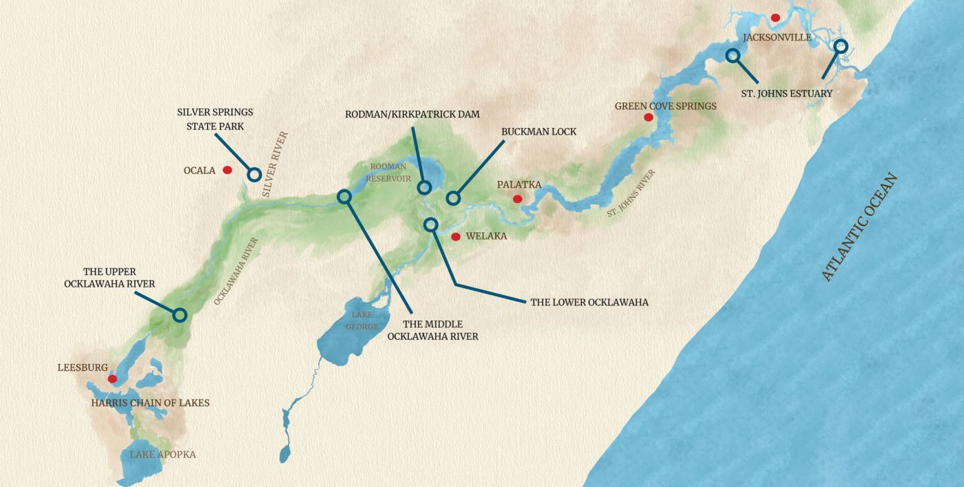 The Ocklawaha River | Save the Manatee Club
